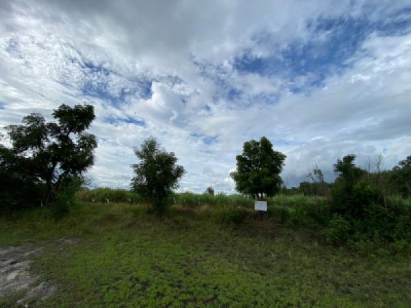 Land for sale Suranarai Road, km. 233+800, Chai Badan Subdistrict, Chai ...