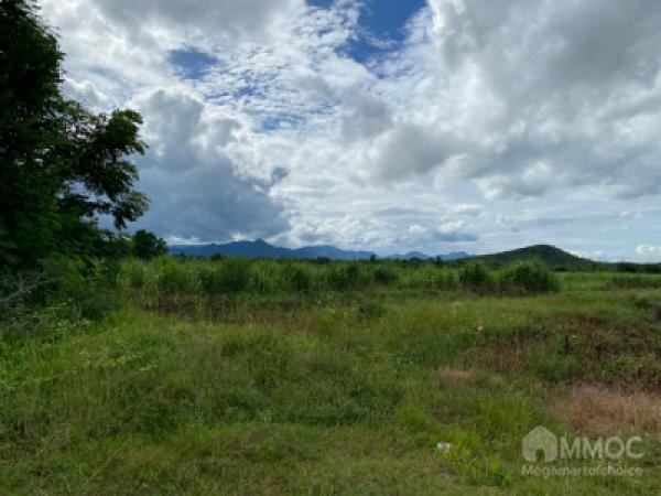 Land for sale, Tambon Chai Badan, Amphoe Chai Badan. Lopburi Province