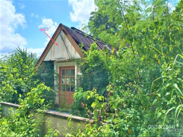 Single house for sale, Chiang Rai