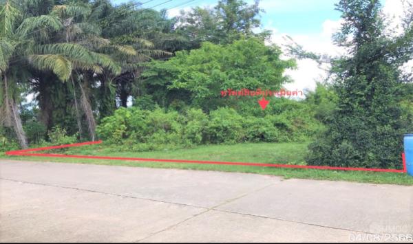 Land for sale, Trang