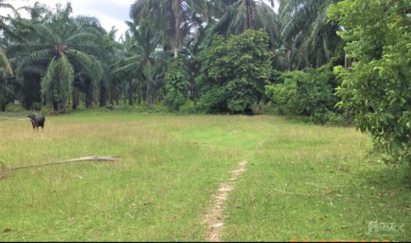 Land for sale, Krabi