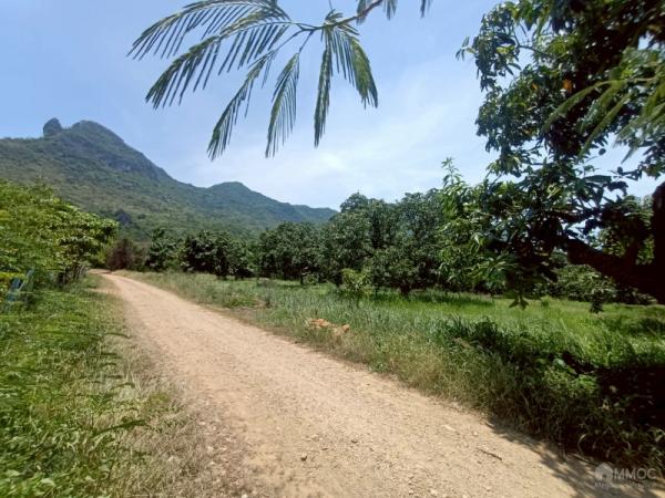 Land for sale, 2 rai, 1 ngan, 24 sq m, filled in, Sam Roi Yot District ...